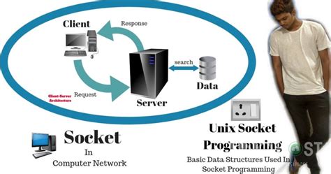 Socket là gì Web Socket và Unix socket là gì