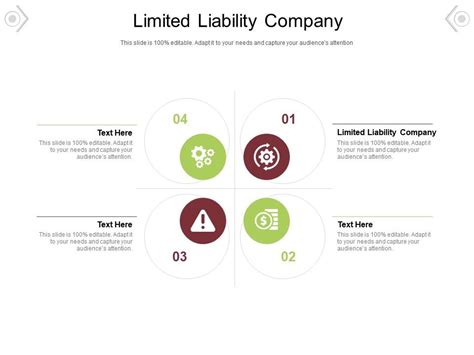 Limited Liability Company Ppt Powerpoint Presentation Infographic