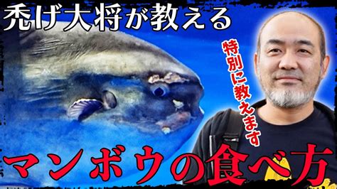 驚愕えマンボウって食べれるの禿げ大将が教える美味しいマンボウの食べ方講座 YouTube
