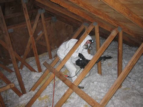 Decontamination And Odor Removal Fur And Feathers Wildlife Control
