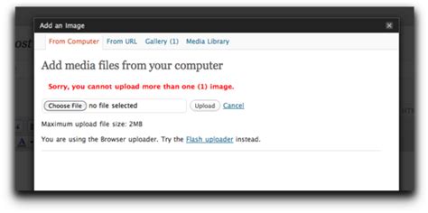 Limit Image Upload To One And Disable Audio Video And Other Document File Types To Upload