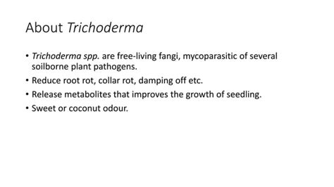 Mass Multiplication Of A Biofertilizer Trichoderma Viride Pptx