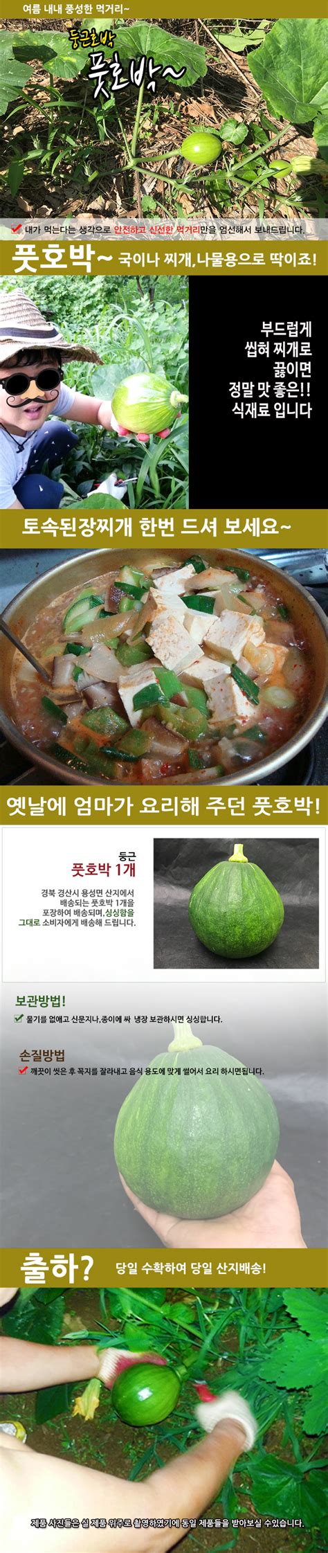 [경북애]풋호박 1개 옥수수 호박 사이소