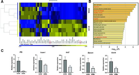 Transcriptome Heatmap Based On Ngs Analyses A Transcriptome Analysis