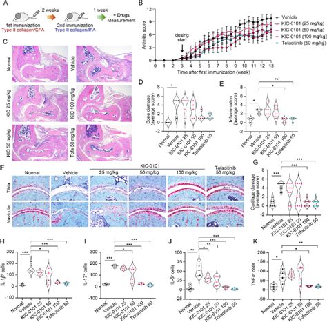 Kic 0101 Shows The Improvement Of Rheumatoid Arthritis In Download