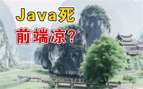 Java已死？前端已凉？说说我的看法 程序员鱼皮 程序员鱼皮 哔哩哔哩视频