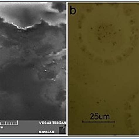 Schematic Of The Single Cell Back Side Designed Porous Silicon