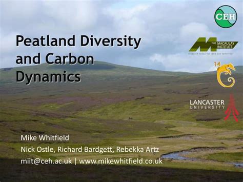 Peatland Diversity And Carbon Dynamics Ppt