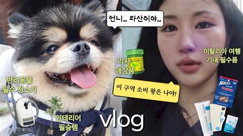 Vlog 소비중독 30대 직장인 일상🔥 아이폰 Se 추천 강아지 허슈키랑 노는 브이로그 이탈리아 꿀템 박살냄📦 밀러 C3 리뷰🧳 Youtube