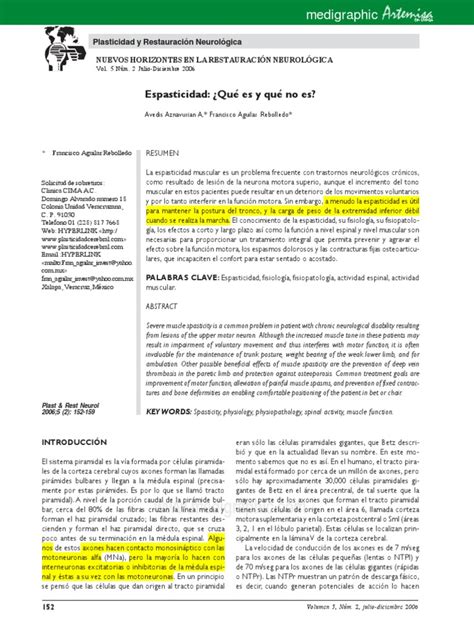 Espasticidad Qué Es Y Qué No Es 2006 Pdf