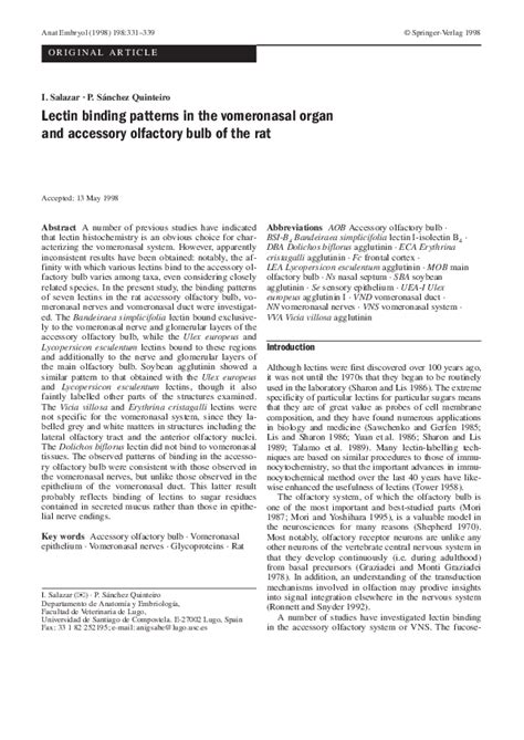 Pdf Lectin Binding Patterns In The Vomeronasal Organ And Accessory Olfactory Bulb Of The Rat