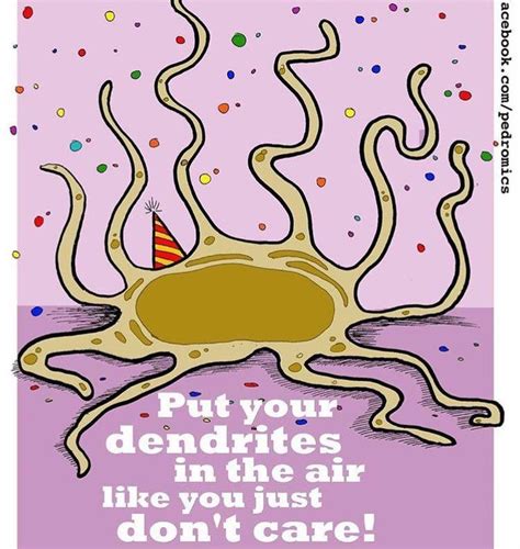 19 Best Phagocytosis Images On Pinterest Microbiology Blood Cells