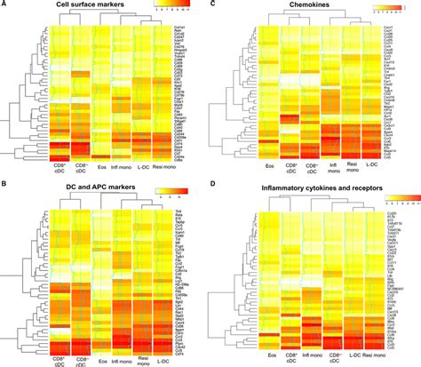 pathway‐specific gene expression in dendritic and myeloid subsets data