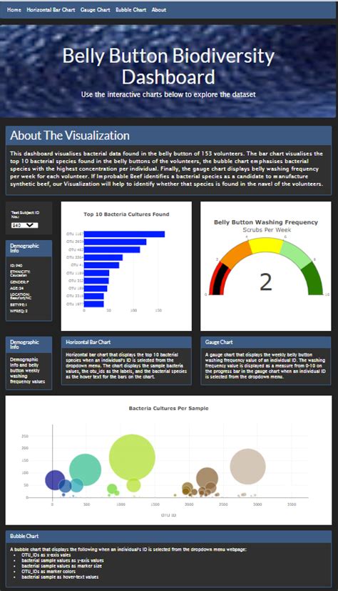 Github Aolayeye Belly Button Biodiversity Dashboard An Interactive