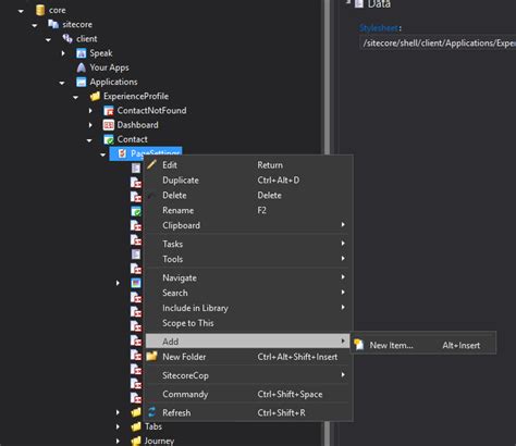 How Can You Assign A Style Sheet To A Custom Tab In The Experience