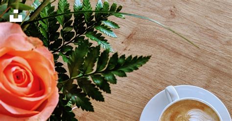 분홍색 장미 옆에 있는 흰색 세라믹 접시에 흰색 세라믹 컵 사진 Unsplash의 무료 꽃 이미지