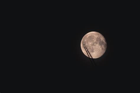 La pleine lune du lion le février Astrologie Numérologie
