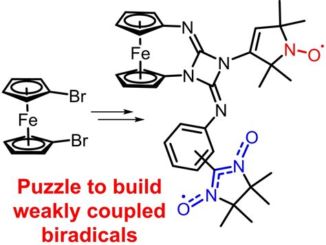 Multispin Systems With A Rigid Ferrocene‐11′‐diyl‐substituted 13
