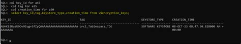 Setup Tde Encryption In Oracle 19c Database Dba Notes