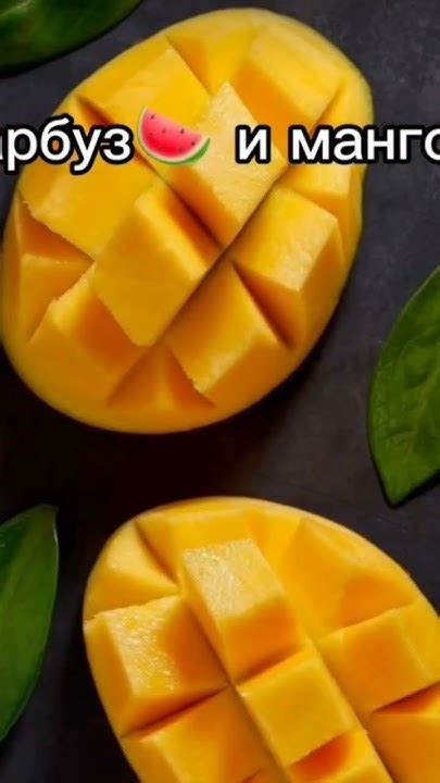 какой фрукт твой самый любимый🐈 ️🍓 Youtube