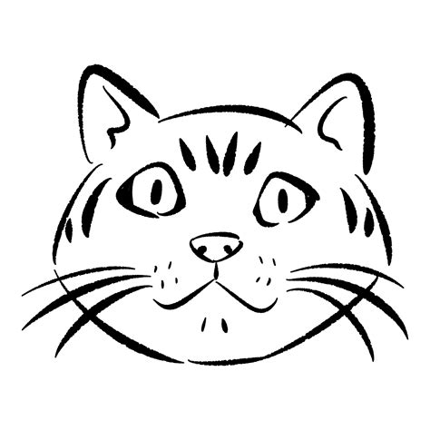 Hand Drawn Illustration Of Cat Face With Bulging Eyes Line Art Black