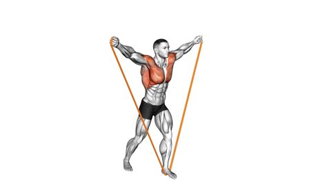 10 Spinae Erector Exercises Strengthen Your Core With These Targeted Moves Workout Guru