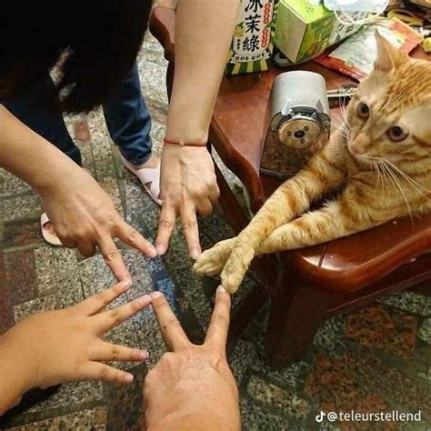 Microbiology Aesthetic Microbiology Biology Art Biology Notes