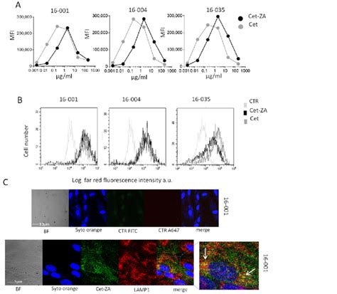 Cet ZA ADC Reactivity With CRC TAF A CRC TAF 16 001 16 004 And Download Scientific
