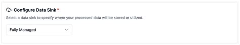 Managed Data Sink LlamaCloud Documentation