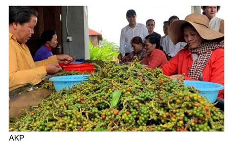 ကမ္ဘောဒီးယားငရုတ်ကောင်းနှင့်ရေထွက်ပစ္စည်းများအား တရုတ်သို့တင်ပို့မည