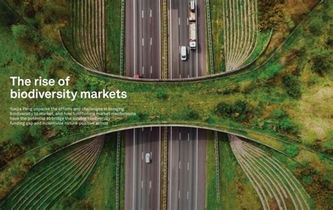 Commodity Insights Voluntary Carbon Markets A Matter Of Trust Page 52