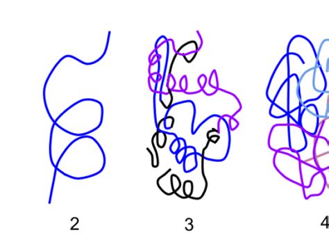 Difference Between Polypeptide And Protein Definition Structures