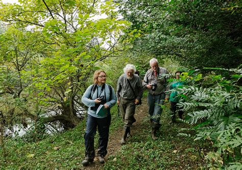 Unesco მ 4 ქართული დაცული ტერიტორია მსოფლიო მემკვიდრეობის უბნად დაასახელა რადიო ფორტუნა