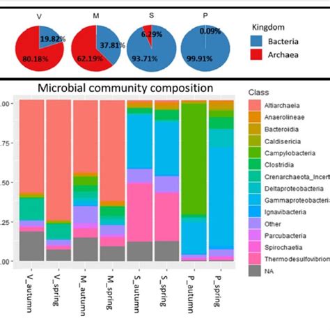Microbial community composition of the four examined Karlovy Vary ...
