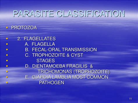 Ppt Diagnostic Parasitology Powerpoint Presentation Free Download