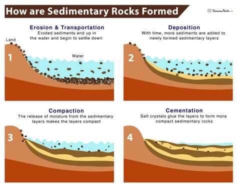 Sedimentary Rocks Definition Formation Types And Examples