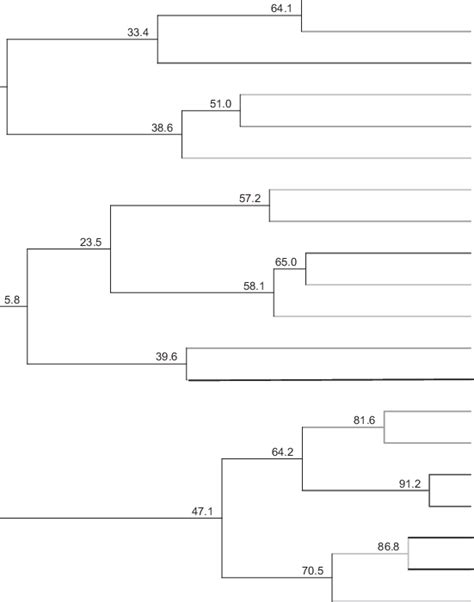Pearson Correlation And Complete Linkage Clustering Analysis Of