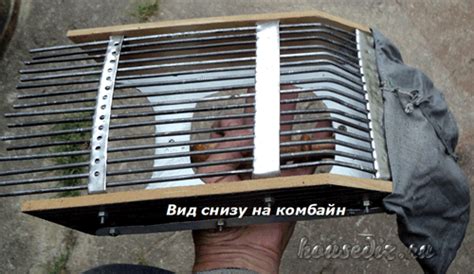 Приспособление для сбора черники: 3 вида