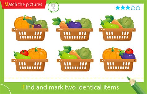 동일한 두 항목을 찾아 표시합니다 아이들을위한 퍼즐 일치하는 게임 아이들을위한 교육 게임 야채 바구니 양배추 비트 뿌리 토마토 가지 호박 당근 호박 미취학 아동을 위한