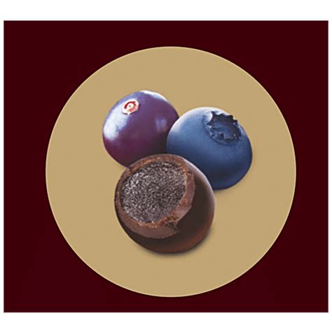 Buy Brookside Flavored Center Chocolate Blueberry Acai 100 Gm Online At