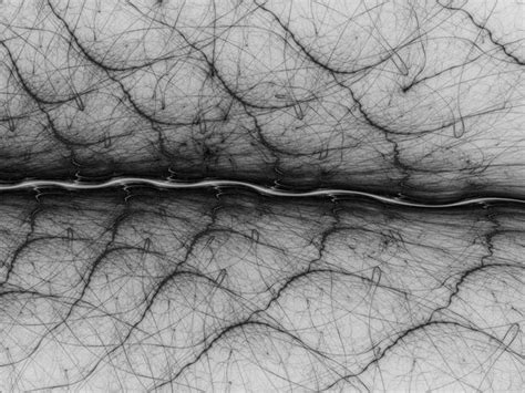 Premium Photo Abstract Fractal Background 3d Rendering