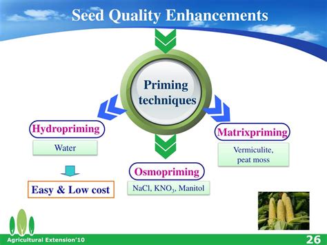Ppt Effect Of Hydropriming And Sugar Metabolism On Germination Of Maize Zea Mays L Seeds