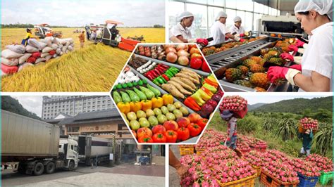 6 Tháng Năm 2024 Sản Xuất Nông Nghiệp Duy Trì Tăng Trưởng Vietnam