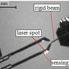 Sensing Arm Excitation Download Scientific Diagram