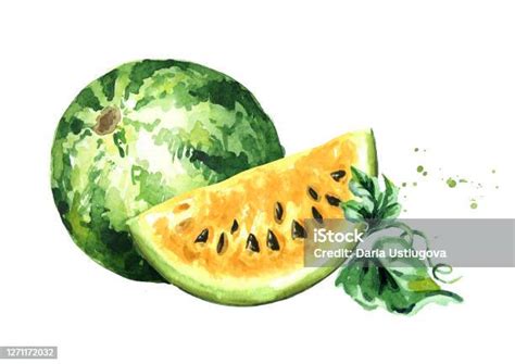 녹색 잎이나 칼라하리 멜론으로 익은 노란색 수박을 통하고 슬라이스합니다 흰색 배경에 격리 된 수채화 손으로 그린 일러스트레이션