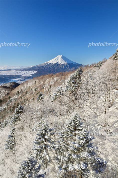 Photolibrary