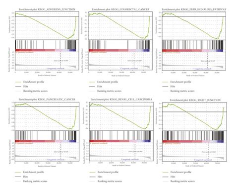 Gsea Between Low And High Risk Groups Download Scientific Diagram