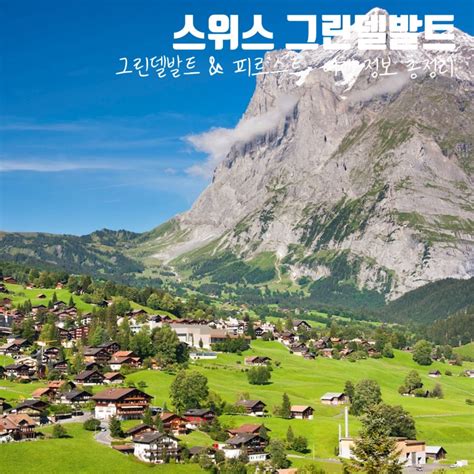 스위스 그린델발트 여행 피르스트 정보 스위스 인터라켄 To 그린델발트 To 스위스 융프라우 가는 법 네이버 블로그