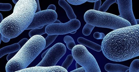 Las Infecciones Bacterianas Son La Segunda Causa De Muerte En El Mundo