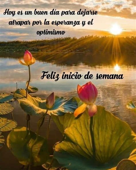 100 Imágenes De Buenos Días Lunes Y Feliz Inicio De Semana Datos Lr